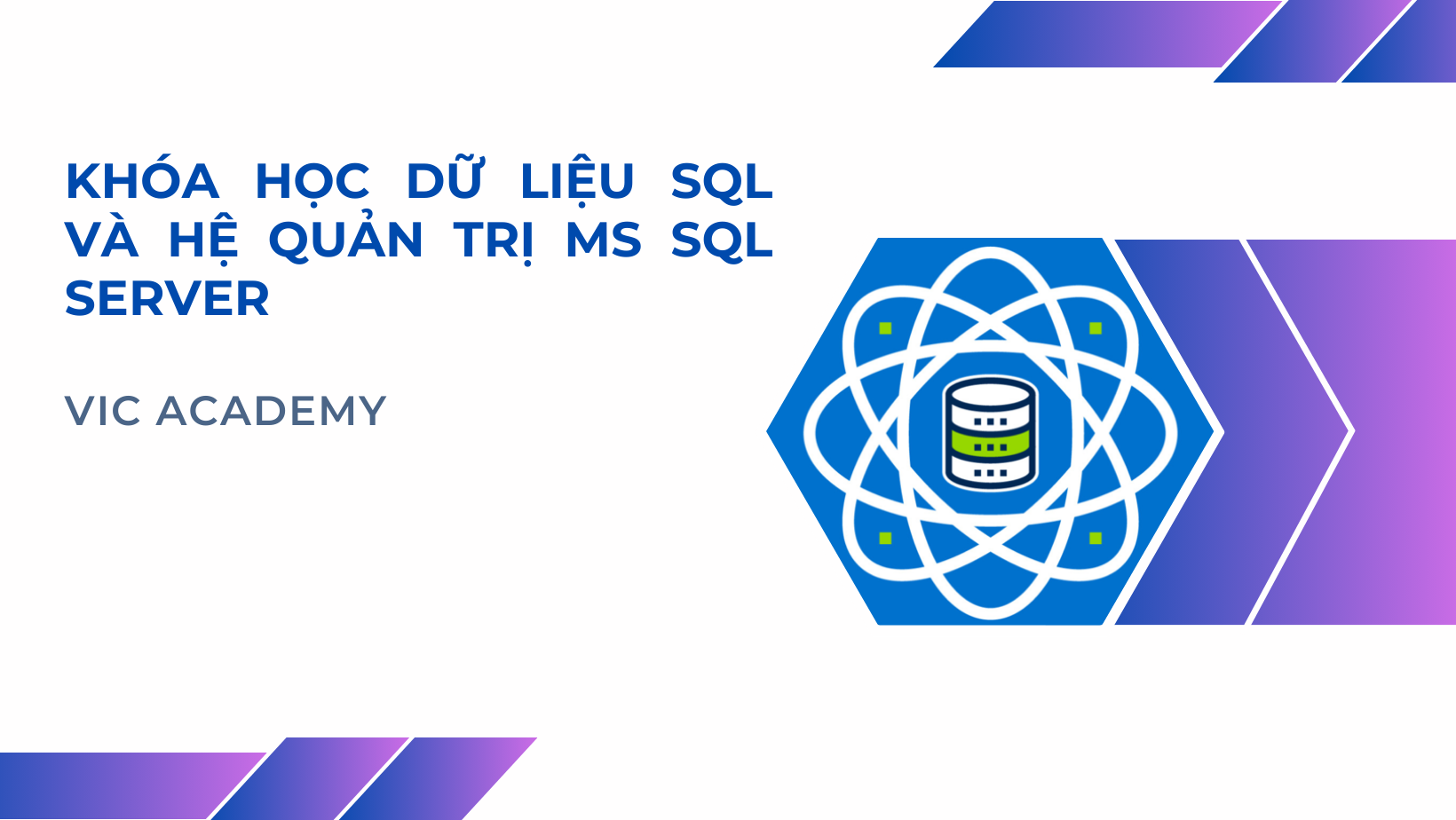 Khóa học Dữ Liệu, SQL, SQL Server